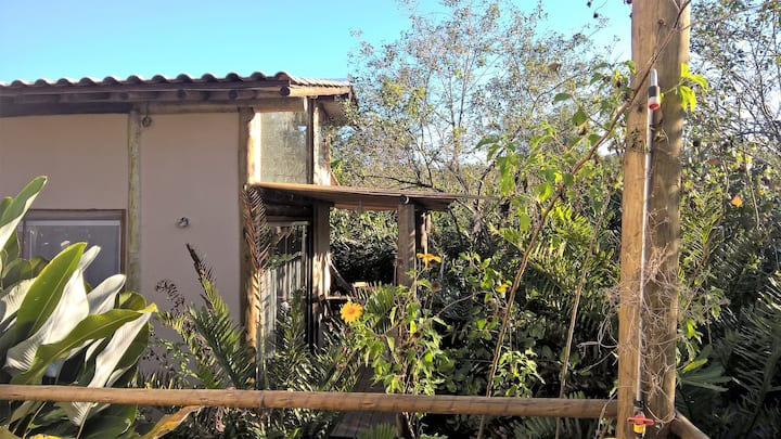 Chalet Thématique - Forêt Atlantique 3 - Paraty