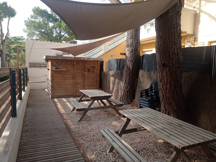 T2 Cosy Rénové En Bord De Mer, Climatisé - Argelès-sur-Mer
