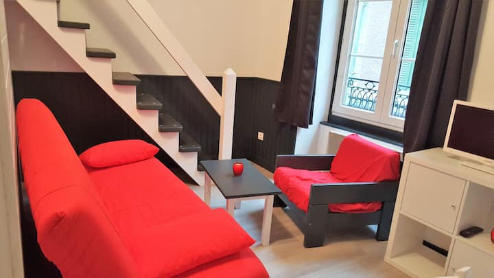 Appartement Lumineux Avec Wifi, Plein Centre. - Pyreneeën