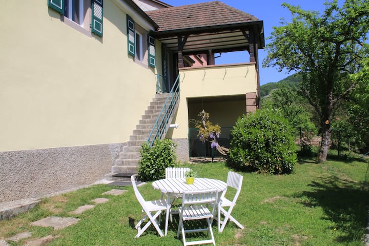 Gîte Les Glycines, Charme Au Coeur De L'alsace - Belmont
