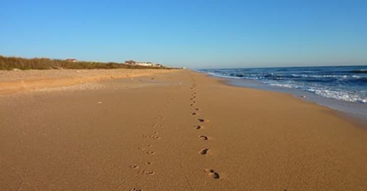 Walk To Beautiful Beach. Near St. Aug., Daytona - Palm Coast, FL