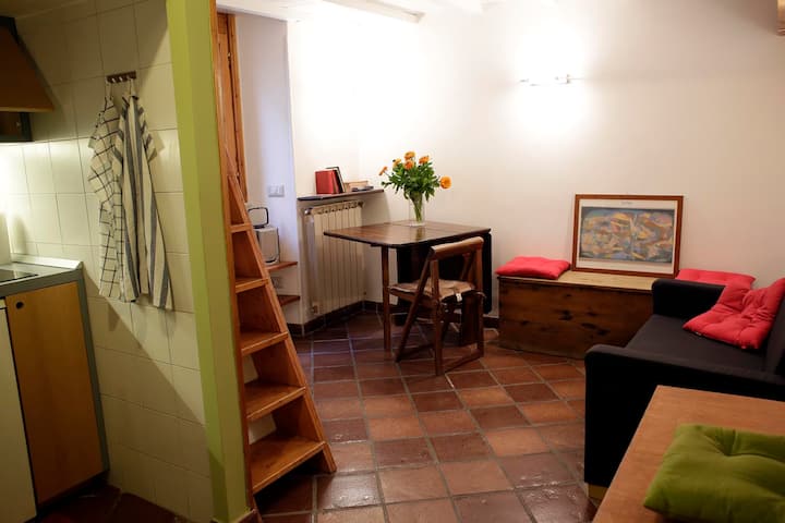 Trastevere Cosy Studio Flat - Rome