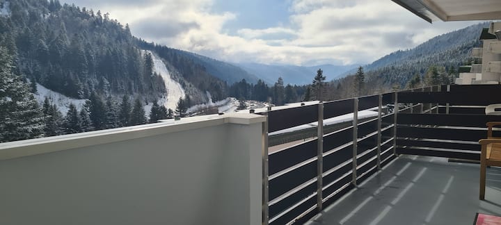 La Bresse "Les Oursons" 4 Pers - La Bresse