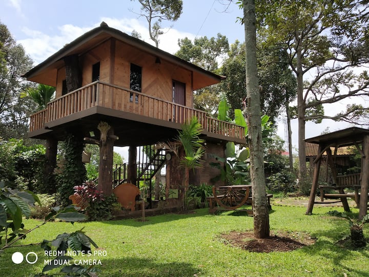 Tree House With Garden View - Bandung