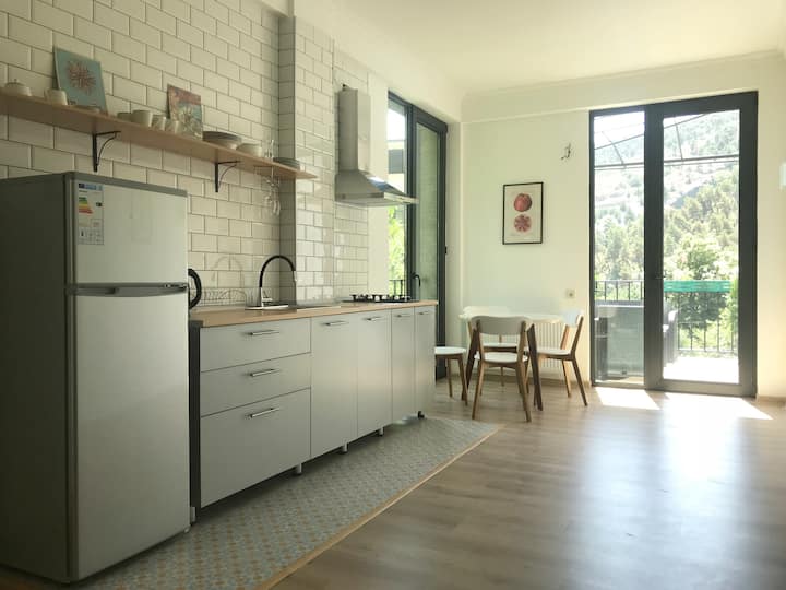Bright Old Town Apartment With Terrace - Tbilisi