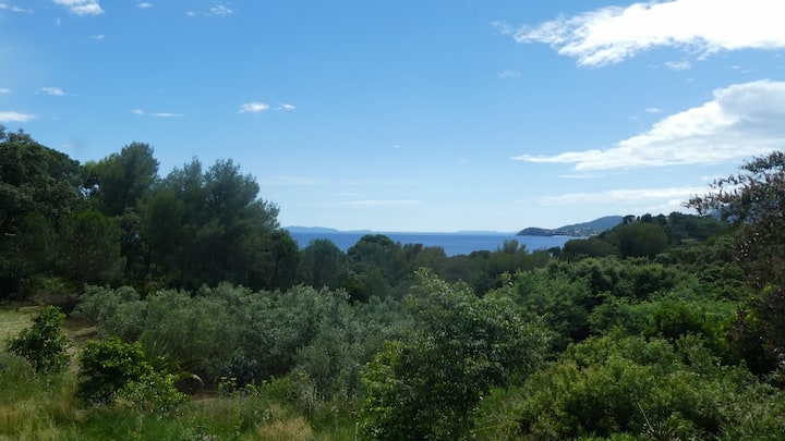 Maison, Grand Terrain, Gigaro 7mn à Pied La Plage - Plage de Pampelonne