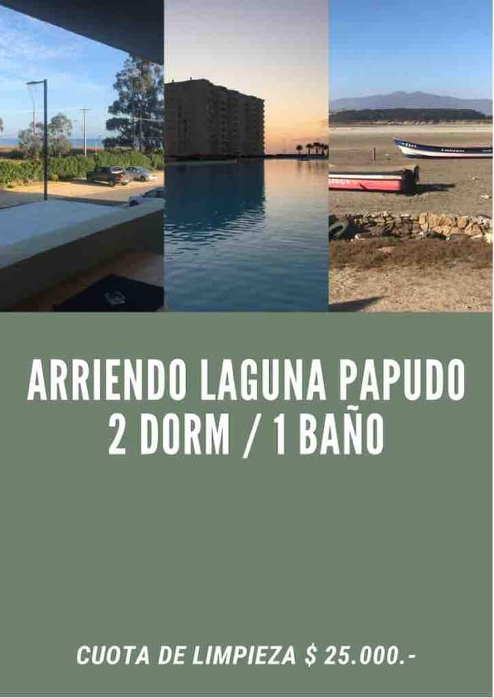 Acogedor Departamento A Pasos De La Playa - Papudo