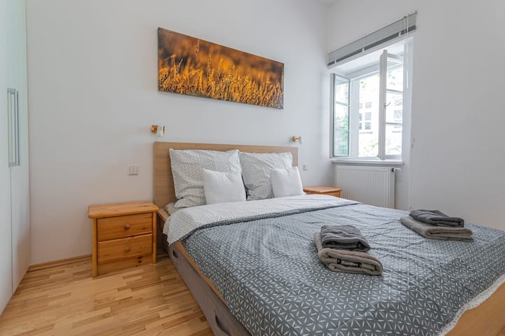 Josef Manes Birth House | Walkscore 99% | Old Town - Prague