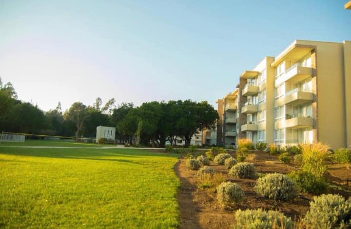 Hermoso Departamento En Arriendo - Papudo