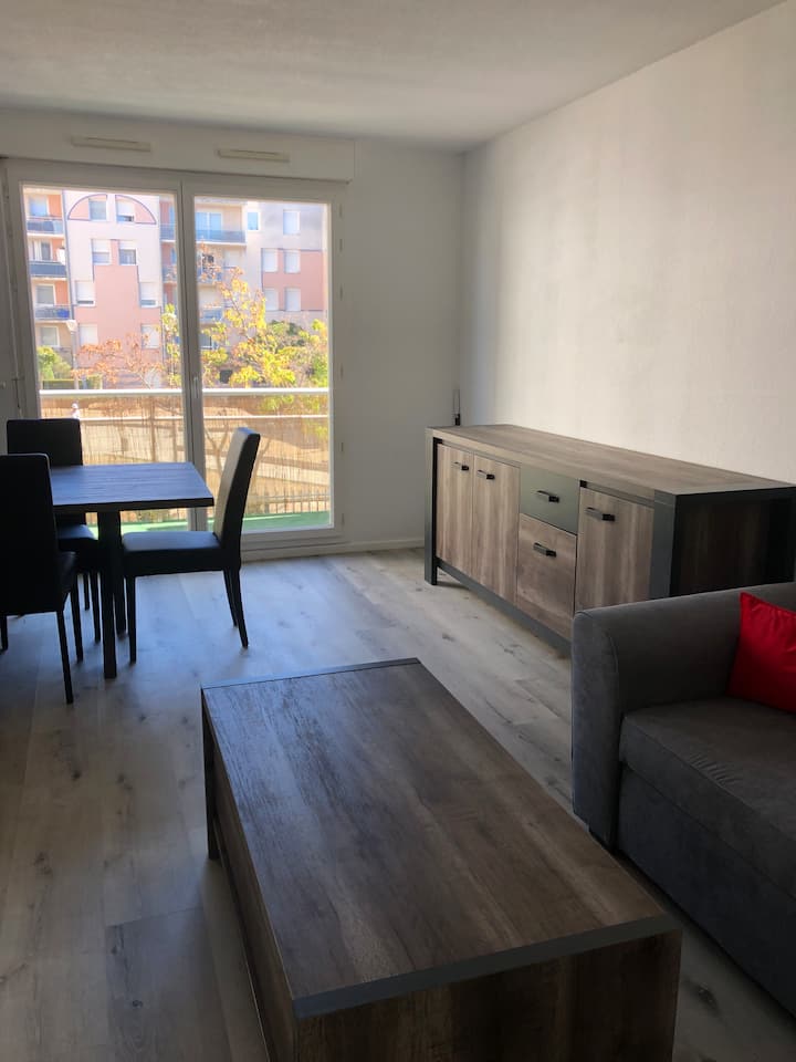Bel Appartement 2 Pièces Avec Parking Gratuit - Schiltigheim