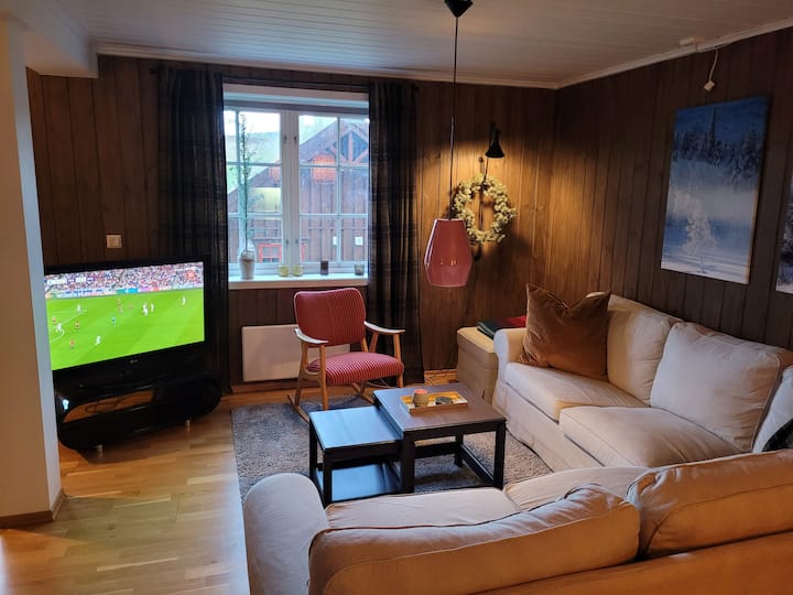 Stor Leilighet Til Leie På Vågslid - Haukeli