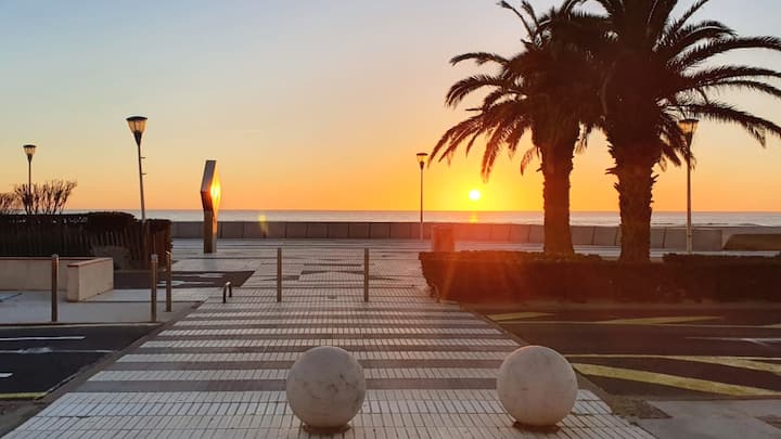Studio Cabine Front De Mer Avec Belle Terrasse - Pyrénées-Orientales