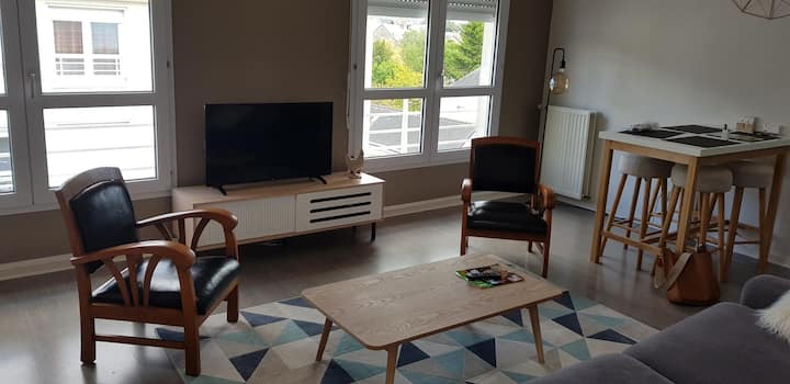Appartement Cosy  De 60 M2 - Angers