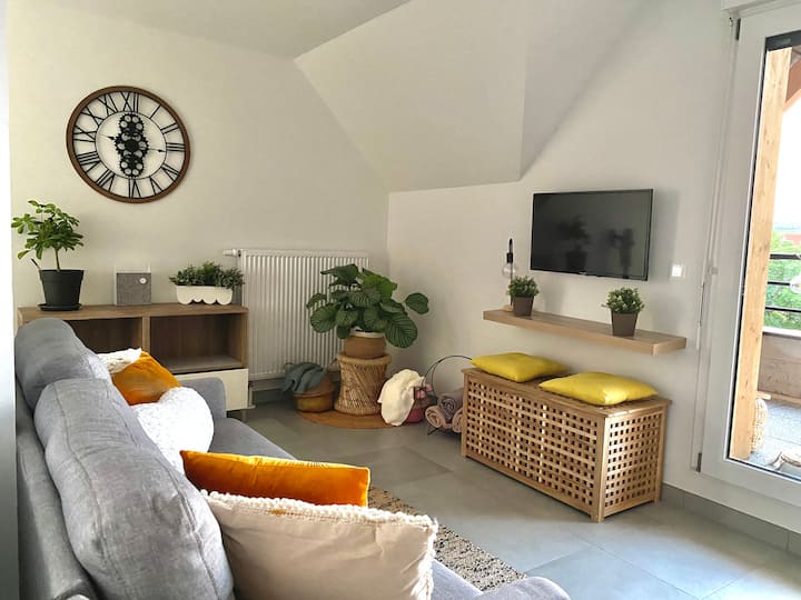 Sublime Studio, 2 Terrasses + Vue Sur Le Vignoble - Molsheim