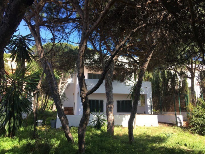 Primera Línea De Playa - Pinos - Encanto - Mazagón