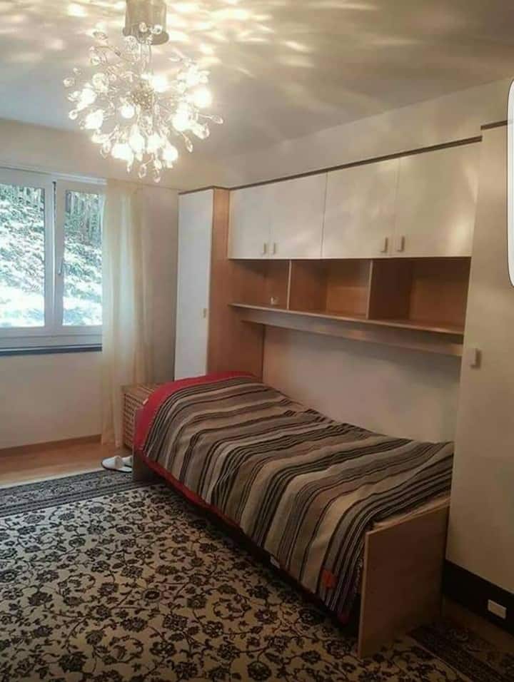 Big Private Room In St.gallen (Close To The Lakes) - Saint-Gall