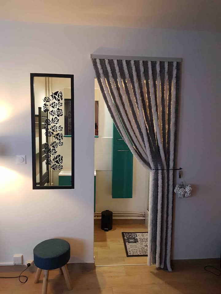 Studio Hyper Centre 30 M2 - Angers