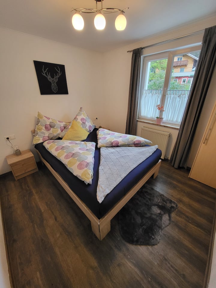 Zum Steirer 3 Rooms Apart In Center Of Mühlbach - Bischofshofen