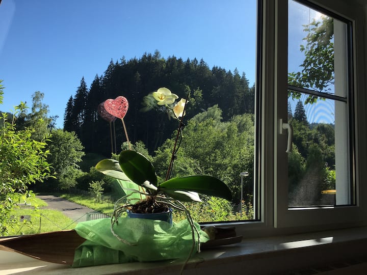 Schwarzwald Direkt Vor Der Tür In Idyllischer Lage - Calw