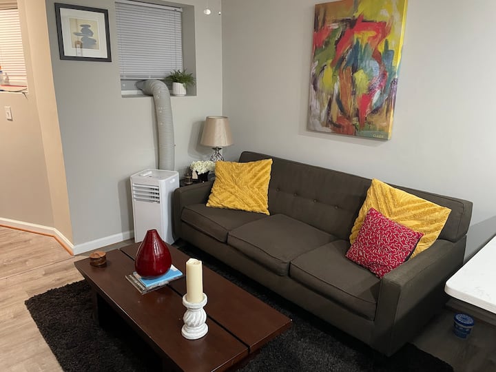 1-bedroom Lower Level Rental In The Heart Of Dc - Washington, D.C., DC