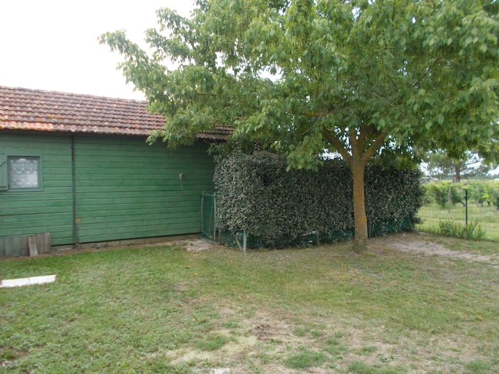 Loue Chalet Bois De 35 M² En Médoc (Lou Cabanou ) - Lesparre-Médoc