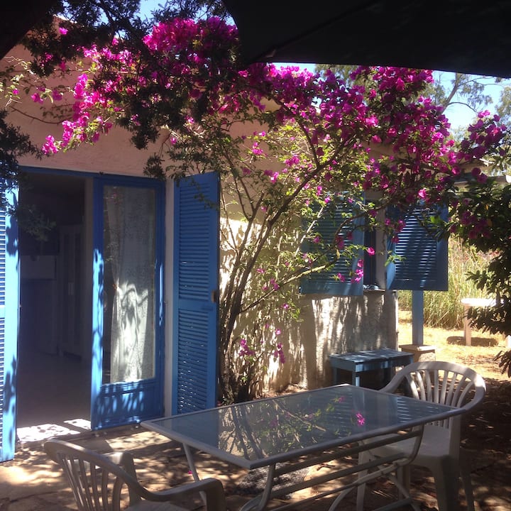 Mimosas Plage Mini Villa Jumelée Mer - Corsica