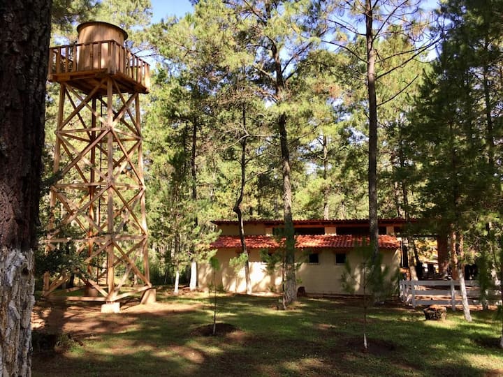 Top 10 Ranches To Stay In Mexico - Updated 2024 | Trip101