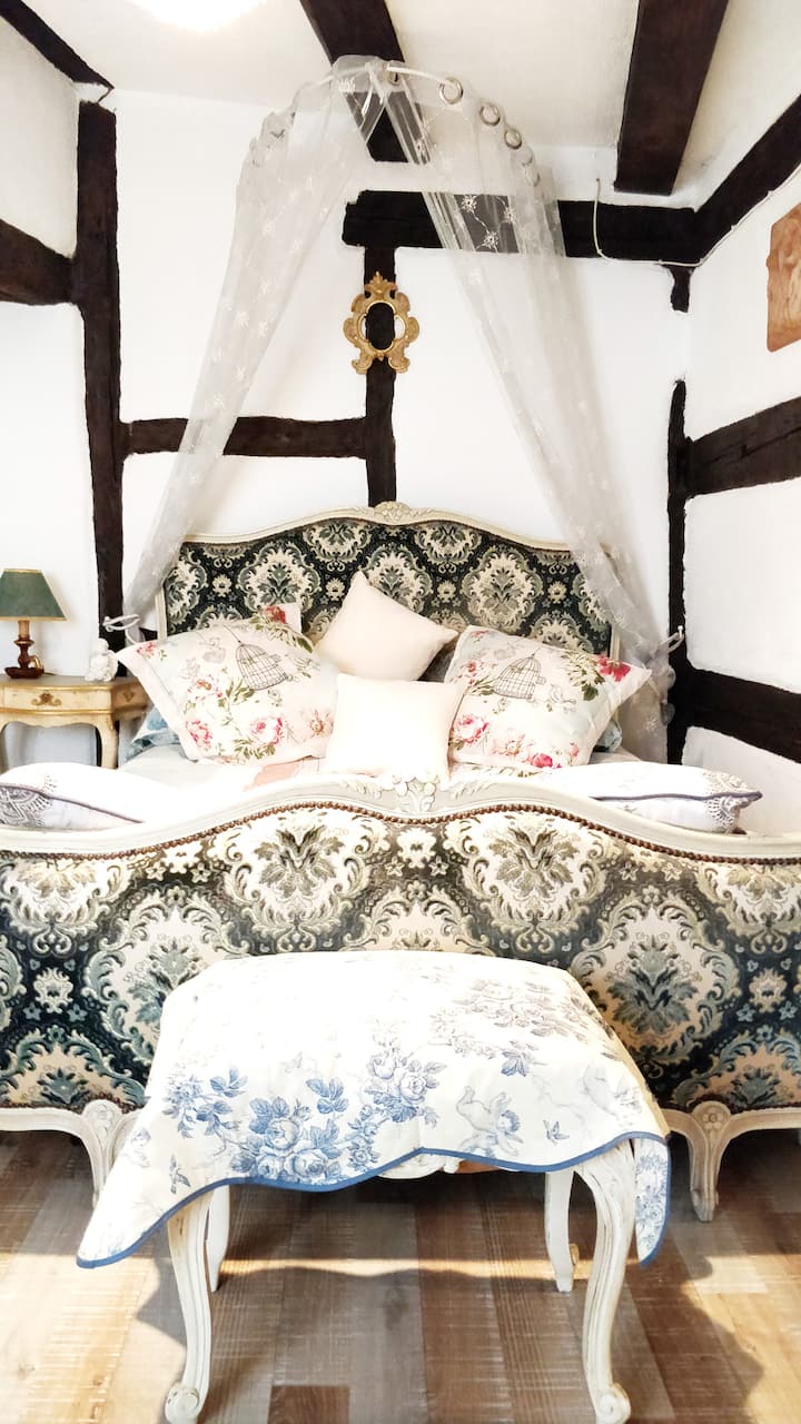Appartement F3 Petite Venise - Cosy Dream - Colmar
