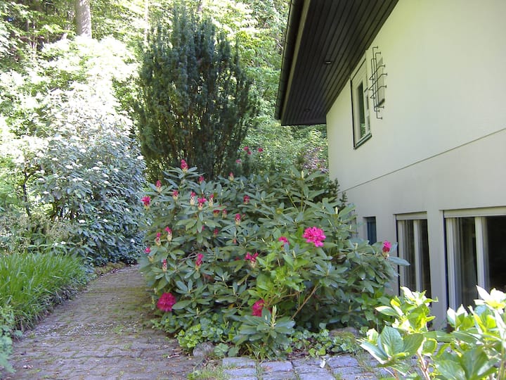 Quiet Non-smoking Flat - Erlangen