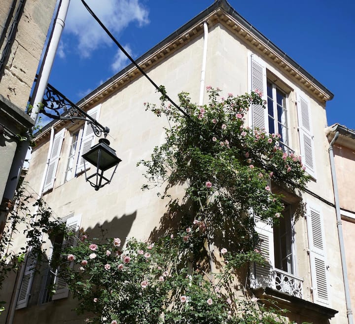Maison De Ville, Petite Impasse Au Calme - Arles - Arles