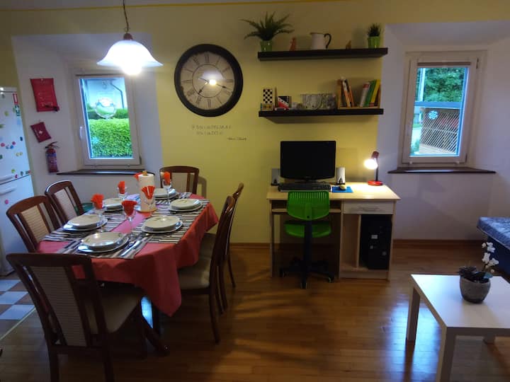 Tomas Old House - Maruša River Apartment 2 - Kranj