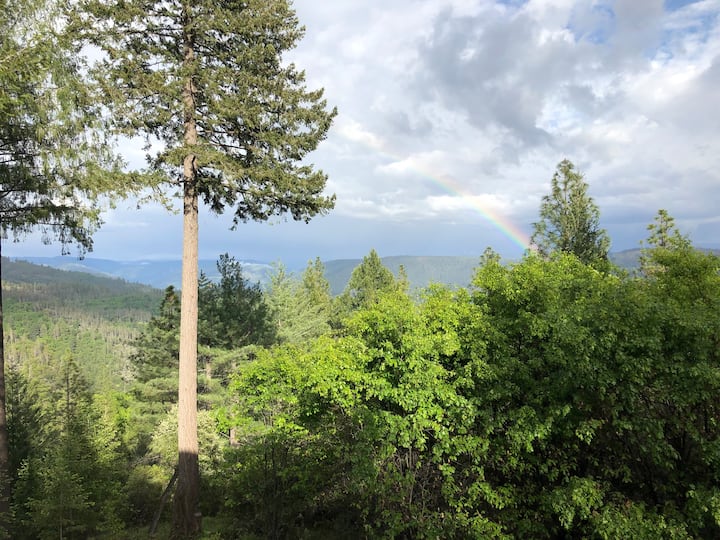 Two Private Rooms In A Forest Home. Sleeps 1-6. - Foresthill, CA
