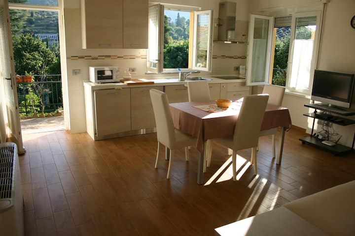 Conca Verde - Apt. Elisa Patio E Giardino - Bellagio