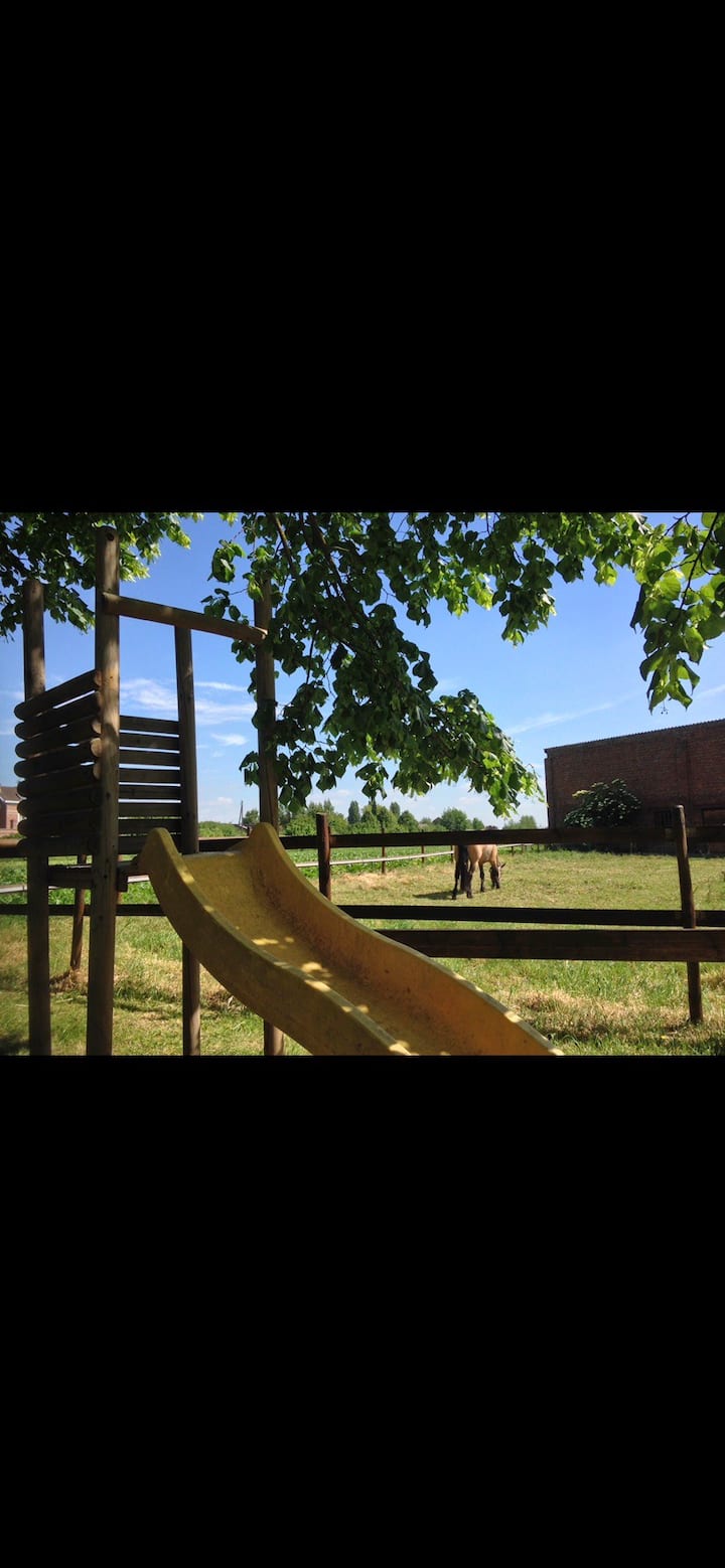 Un Chti Coin De Paradis - Bailleul