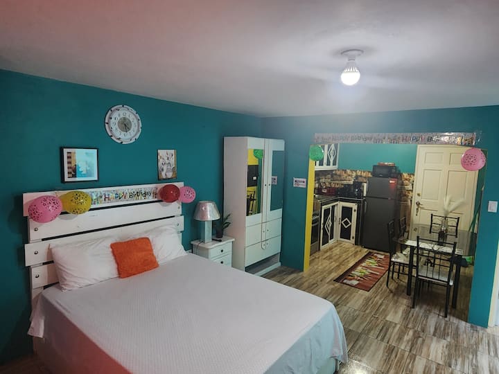 Montego Bay Rooms & Tours(free Airport Pickup) - Montego Bay