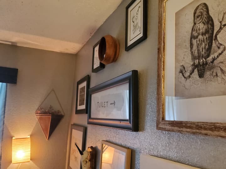 Living The Dream On Richardine (3br 1ba E. Austin) - Austin, TX