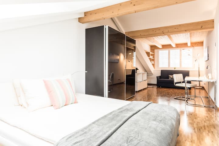 Modern 1 Bedroom Apartment With Roof Top Terrace - Zürich