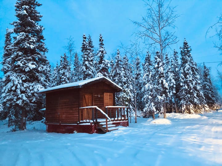 Alaska Vacation Rentals & Homes - United States | Airbnb