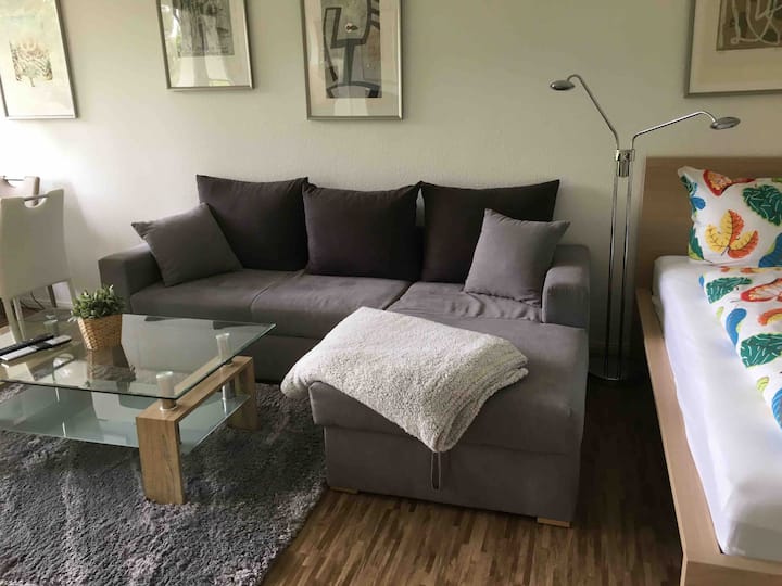 Sonnige Zentral Gelegene Wohnung Mit Balkon - Braunlage