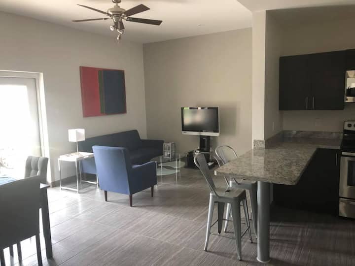 Modern Apartment (Monthly Rate) - Laredo