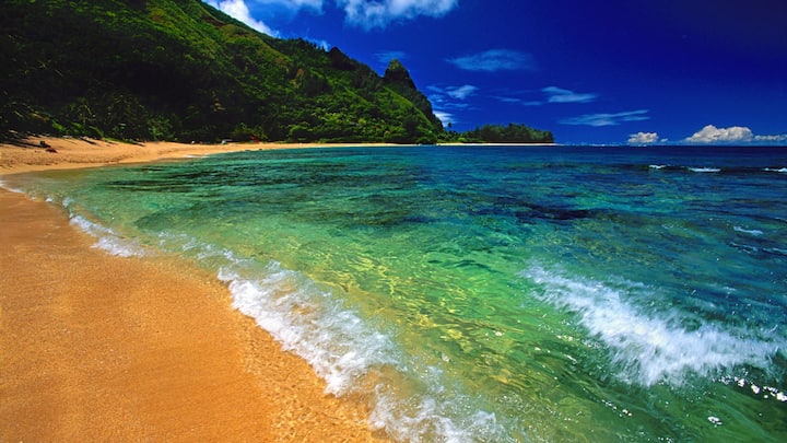 Honeymooners Getaway In Paradise! - Princeville, HI