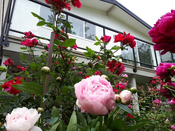 3 Bd Close To Skytrain, Shopping In Vancouver - Vancouver