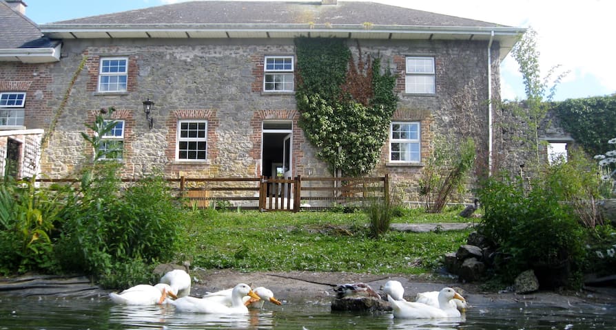 Top 10 Things To Do In Mallow, Ireland - Updated 2021 | Trip101