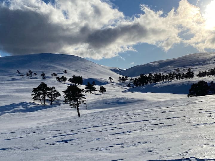 Whakamahorahora, Time To Relax And Explore - Aviemore
