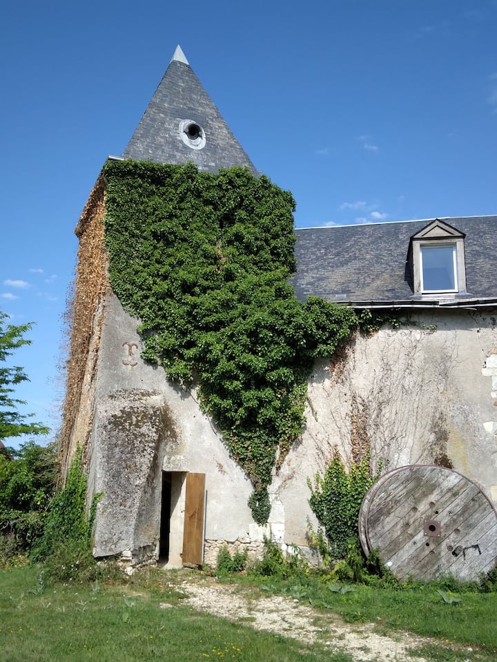 Le Manoir - Montlouis-sur-Loire