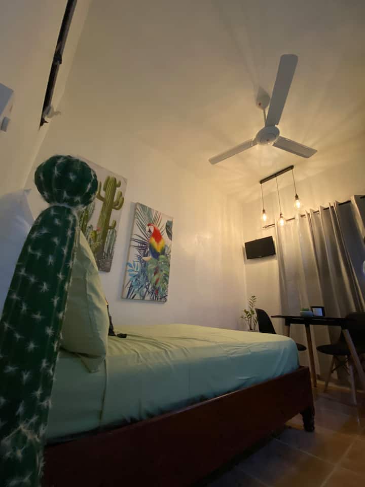 103|best Value: Wifi,ac,rooftop,gym & Beach Steps - Puerto Plata