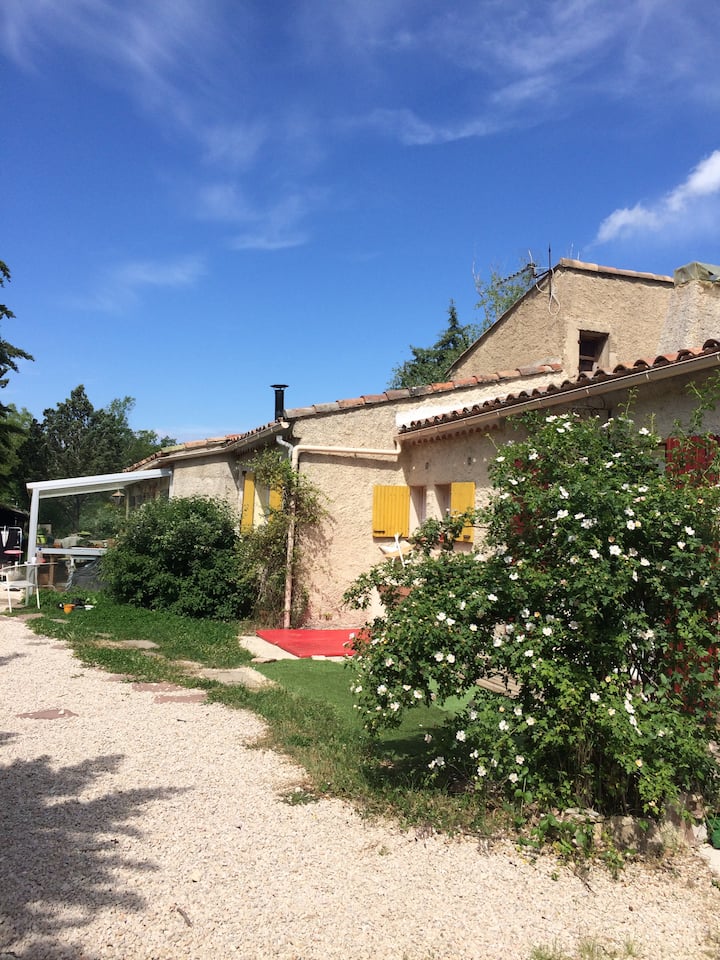 à L'entrée De La Forêt Primaire - Nans-les-Pins