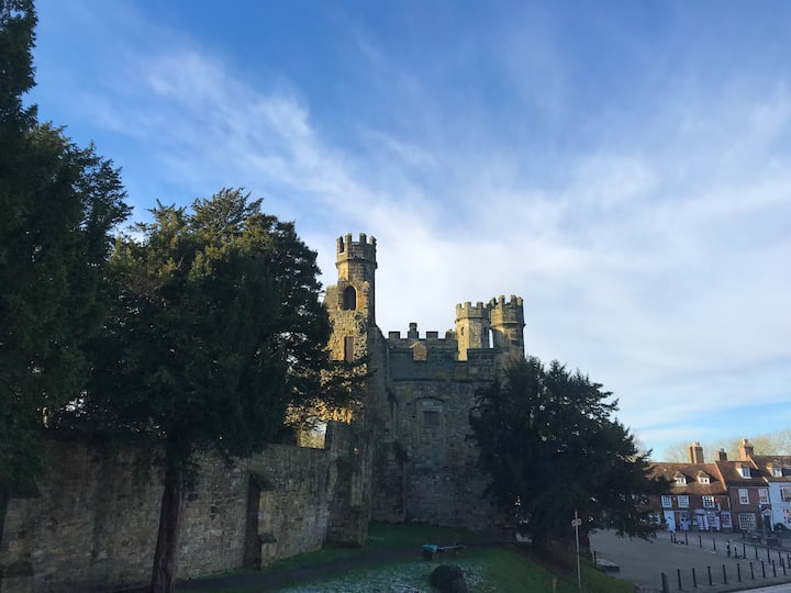 Senlac House - Battle