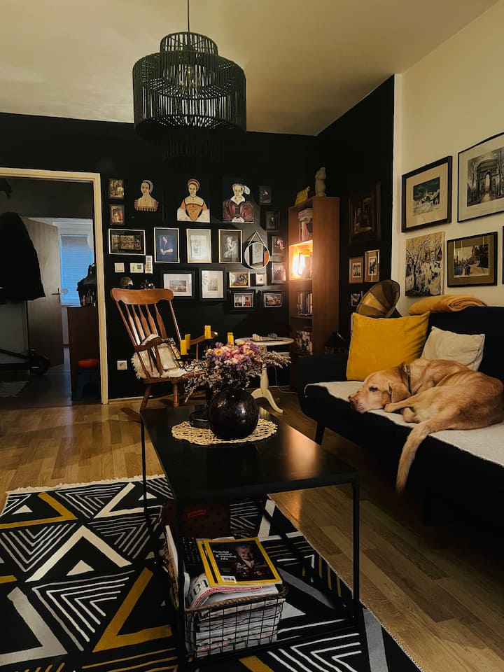Private Room In Authentic And Charming City Nest - Sarajevo