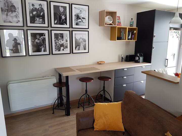 Logement Contemporain Atypique De 40m² Avec Cour - Orvault